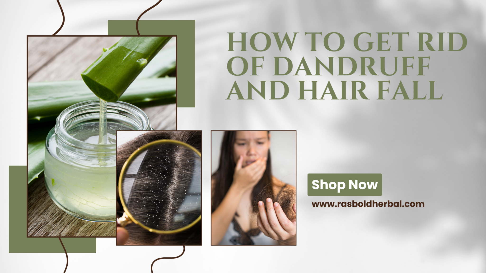 How to Get Rid of Dandruff and Hair fall - RASbold