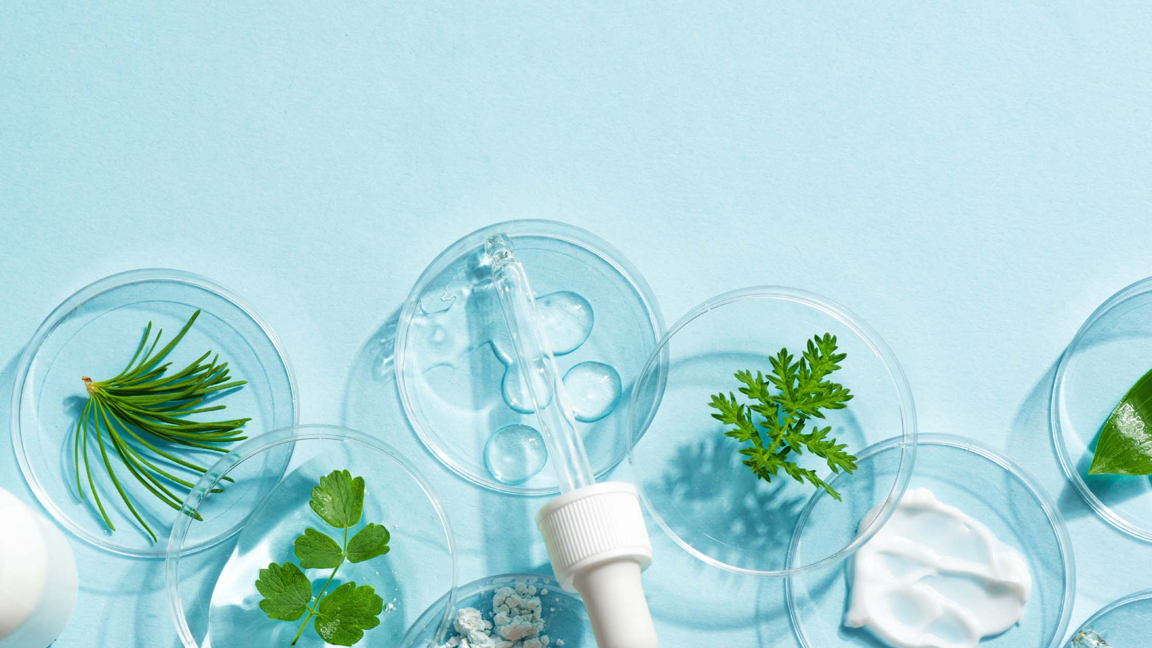 The Ultimate Guide to Monsoon Skincare: Tips and Routine - RASbold